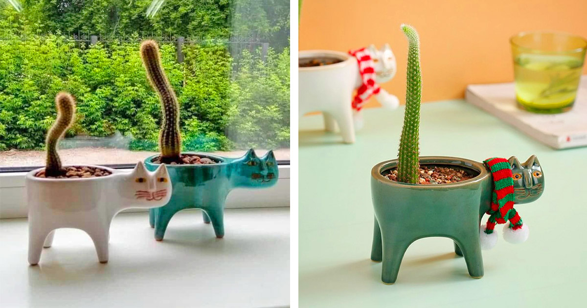 These Adorable Cat Planters Create Cats With Cactus Tails