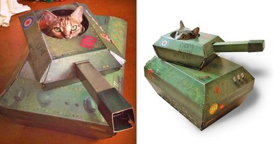 BluFit Smart Water Bottle