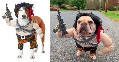 Giant Iceberg Inflatable Climbing Wall