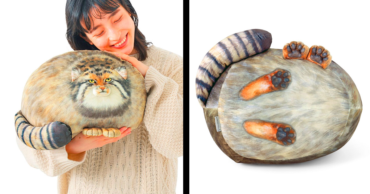 This Realistic Chunky Cat Pillow Is Something Every Cat Lover Needs In ...