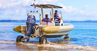 Neofit Roller: A Collapsible Foam Roller That Can Go Anywhere