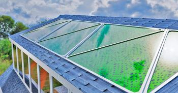 Long Nose Venetian Mask