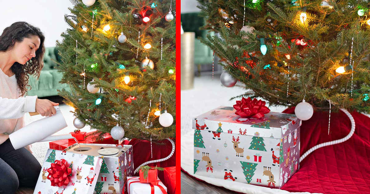 This Automatic Christmas Tree Watering Device Is Disguised As a Present