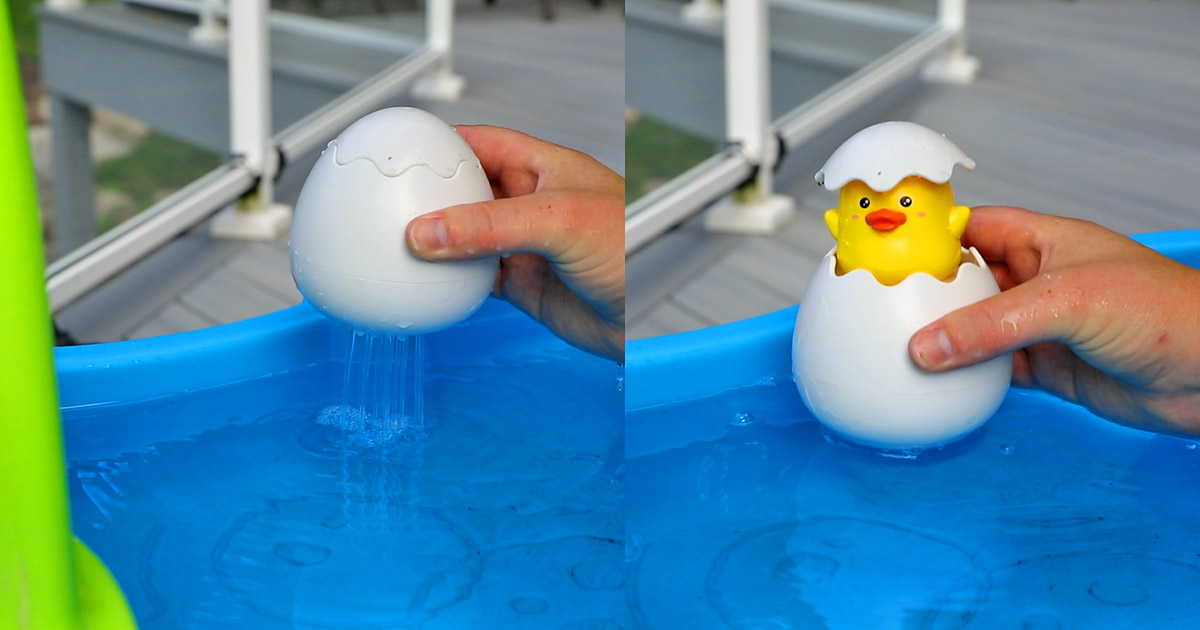 This Cute Duckling Hatches When You Put Him Under Water
