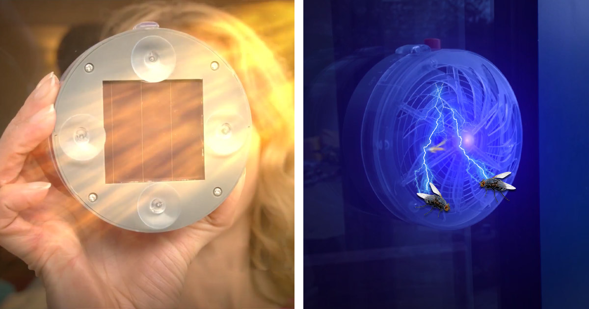 This Genius Solar Powered Bug Zapper Requires No Power Cord or Batteries