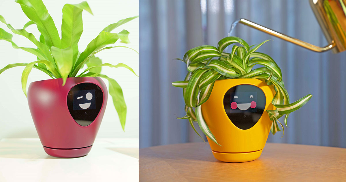 This Smart Planter Will Monitor Your Indoor Plants Keep Them Alive