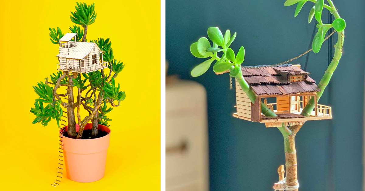 You Can Now Get A Mini Treehouse For Your House Plants And Theyre