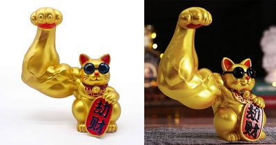 Cat Straight Jacket and Muzzle